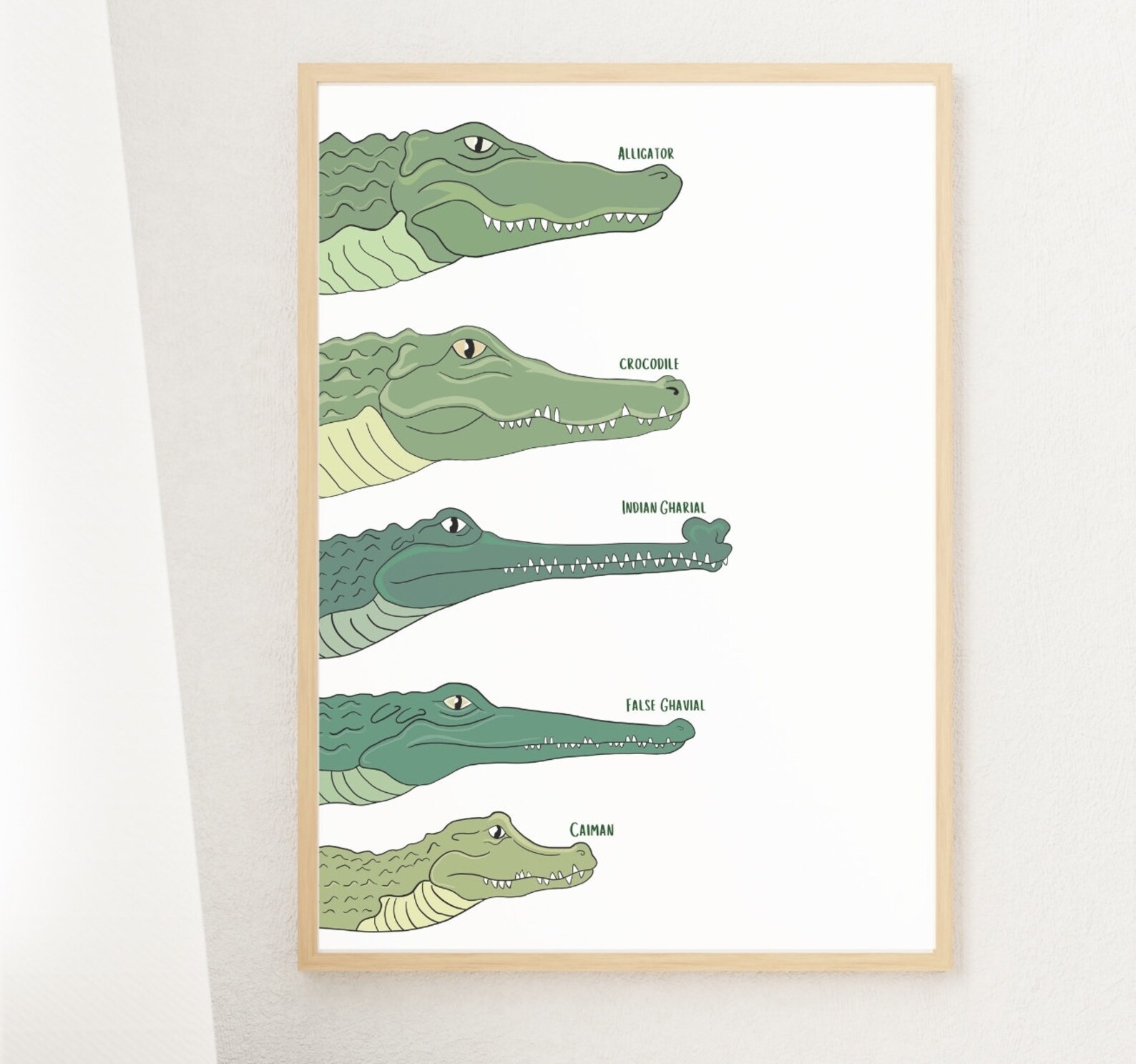 Type of Crocodiles Alligators Poster Kids Printable Jungle Poster Type of Animals Wall Art ...