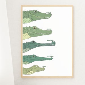 Type of Crocodiles Alligators Poster Kids Printable Jungle Poster Type ...