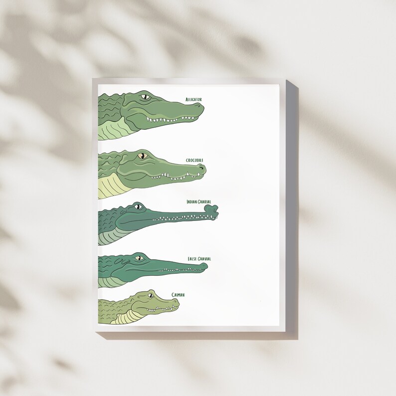 Type of Crocodiles Alligators Poster Kids Printable Jungle Poster Type ...