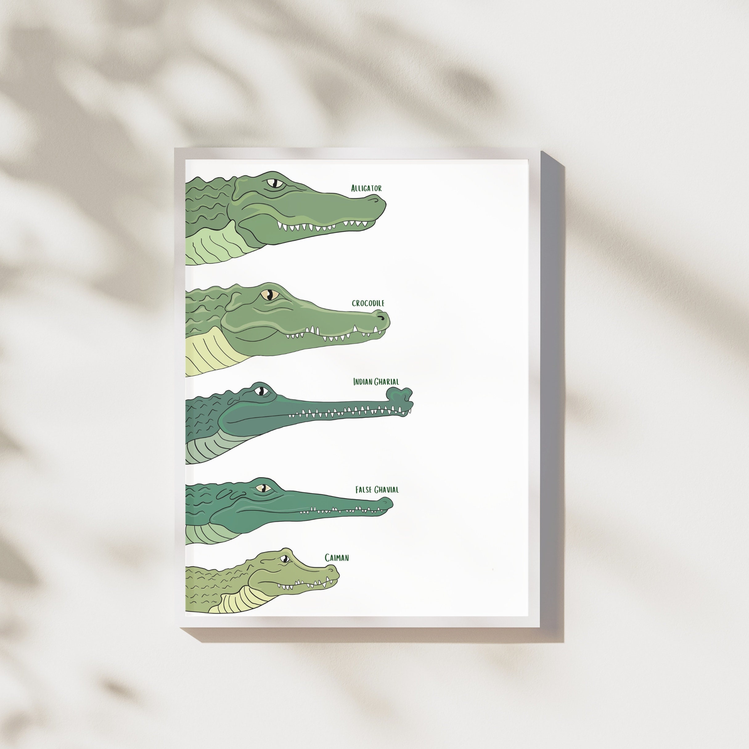 Type of Crocodiles Alligators Poster Kids Printable Jungle Poster Type ...