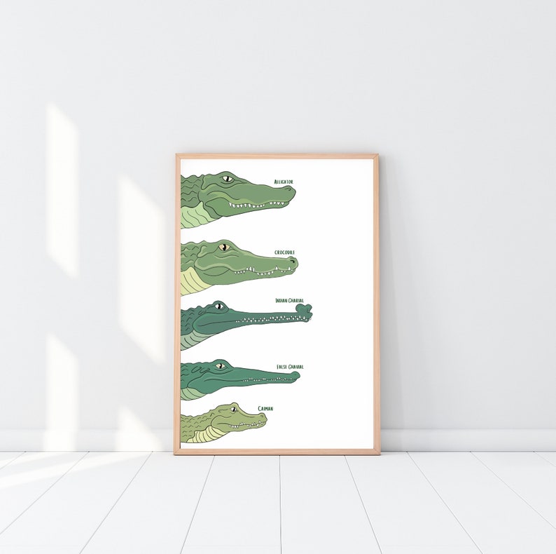 Type of Crocodiles Alligators Poster Kids Printable Jungle Poster Type ...