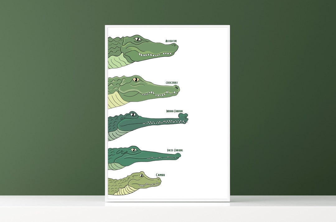 Type of Crocodiles Alligators Poster Kids Printable Jungle Poster Type ...