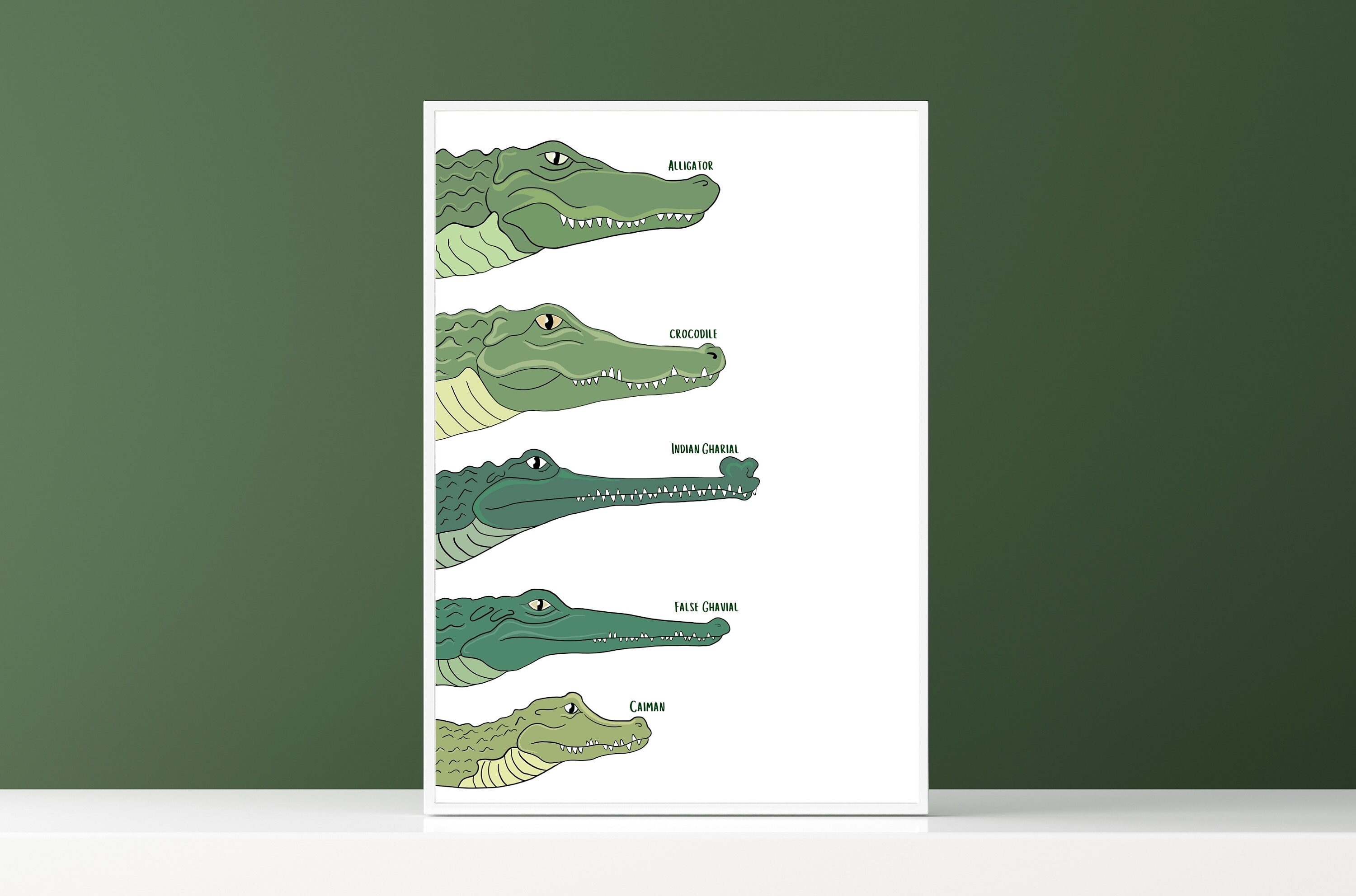 Type of Crocodiles Alligators Poster Kids Printable Jungle Poster Type ...