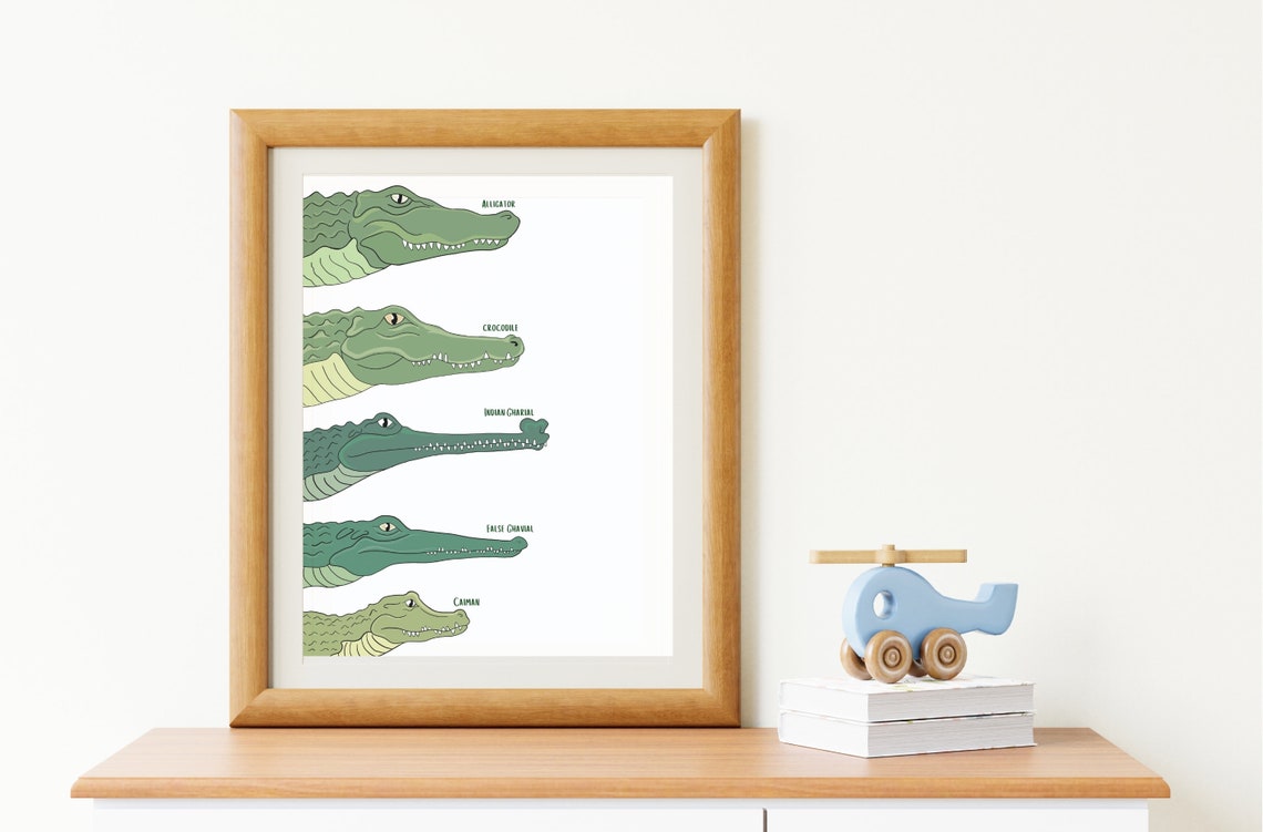 Type of Crocodiles Alligators Poster Kids Printable Jungle Poster Type of Animals Wall Art ...