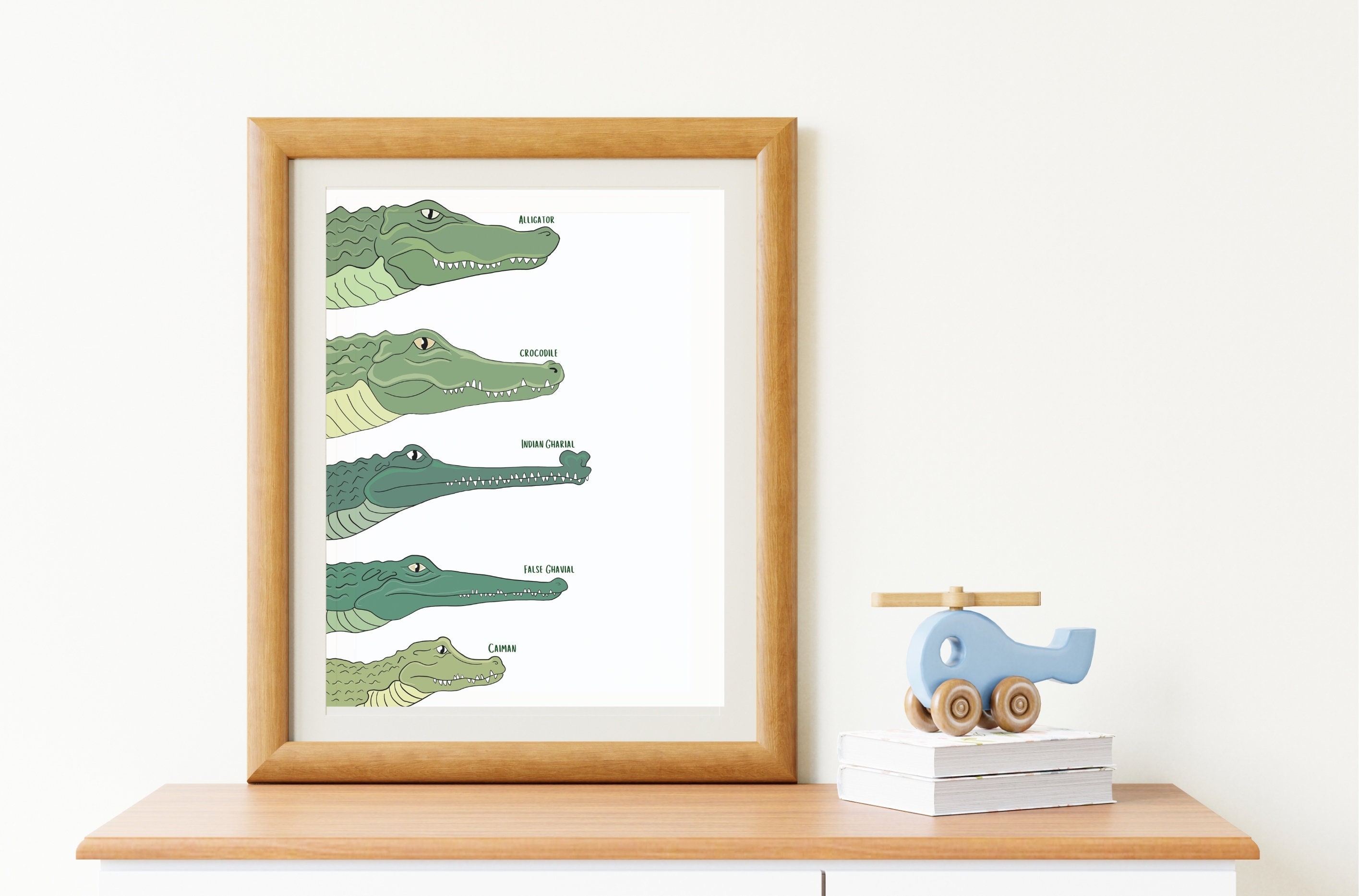 Type of Crocodiles Alligators Poster Kids Printable Jungle Poster Type ...