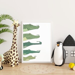 Type of Crocodiles Alligators Poster Kids Printable Jungle Poster Type ...