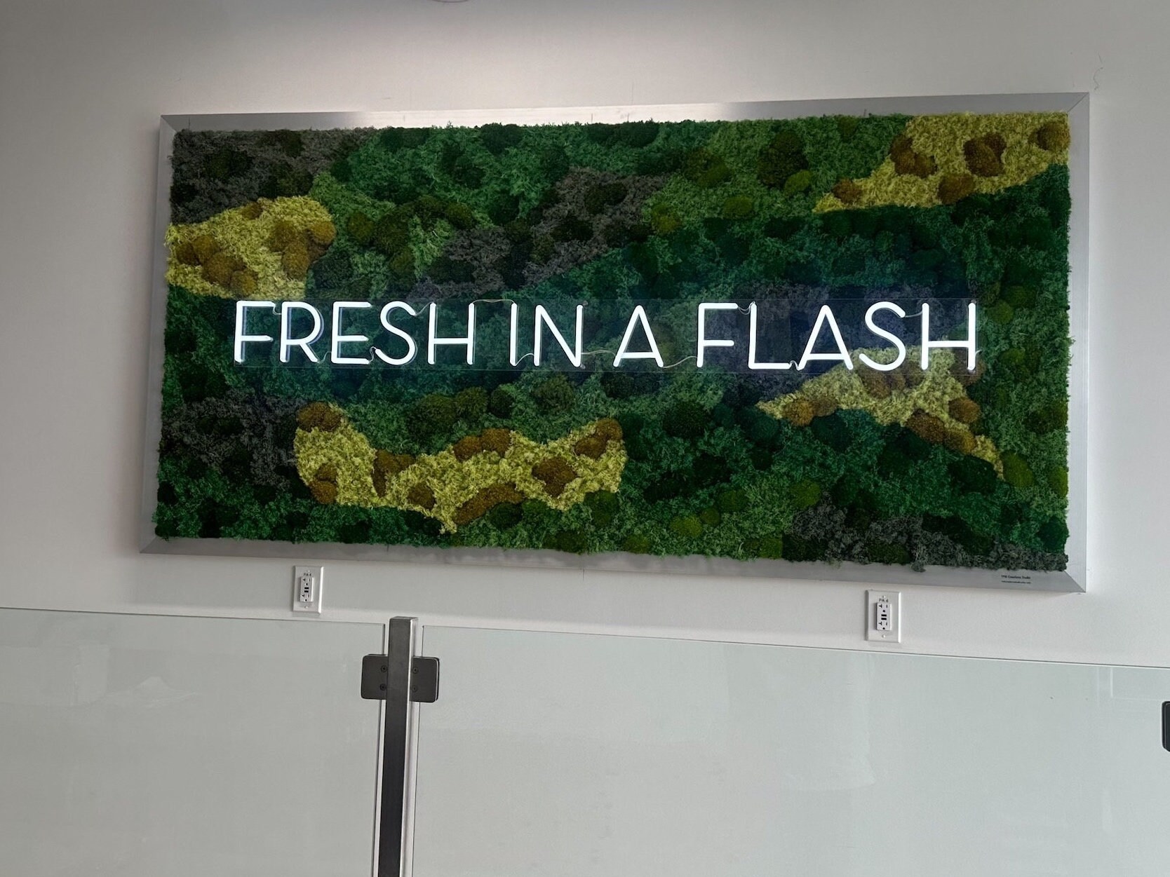 Live Preserved Moss Frame 4x8ft - CUSTOM Made-to-order - Etsy