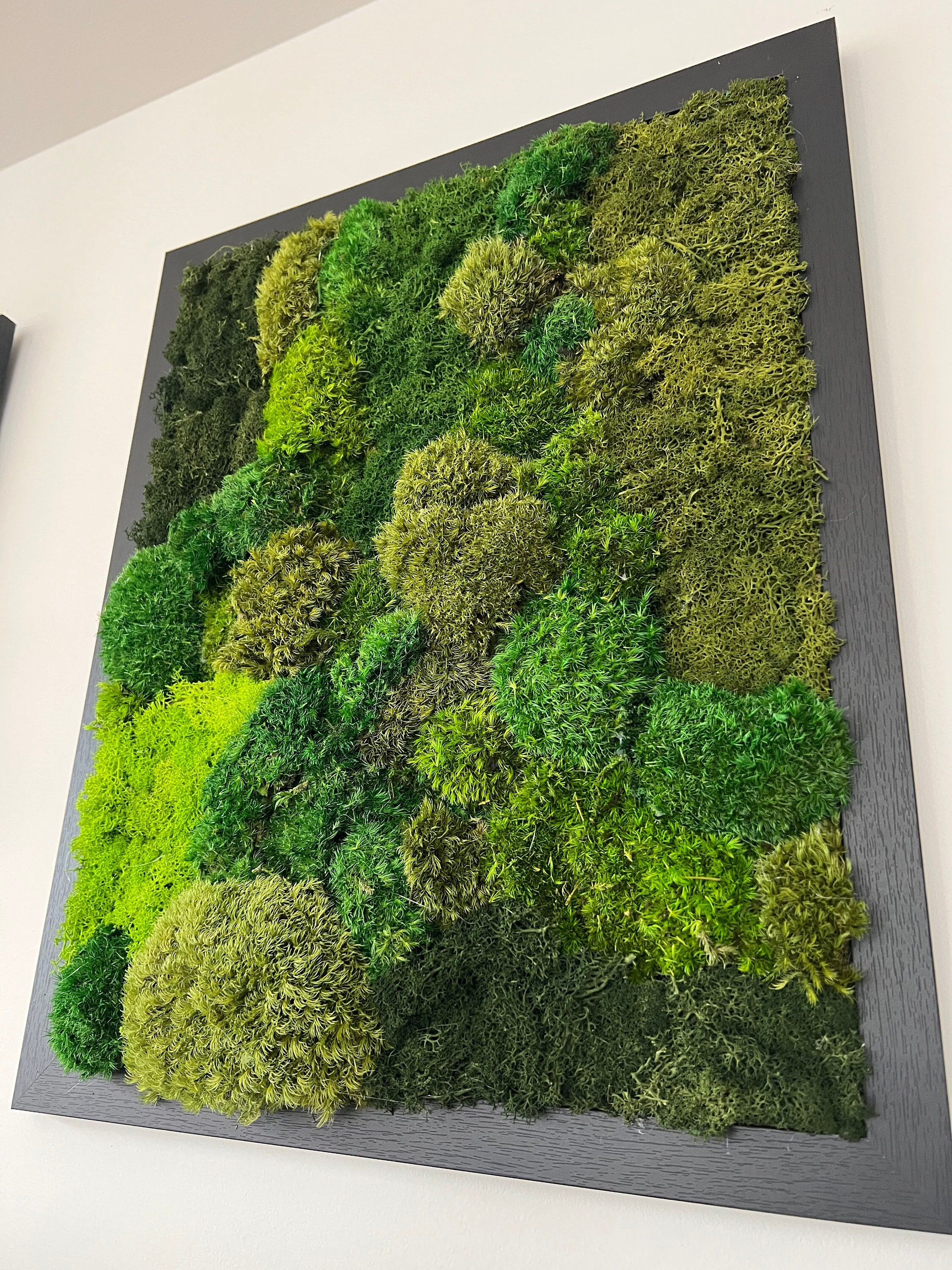 MADE-TO-ORDER Custom Handmade Preserved Moss Wall Art Preserved Live ...
