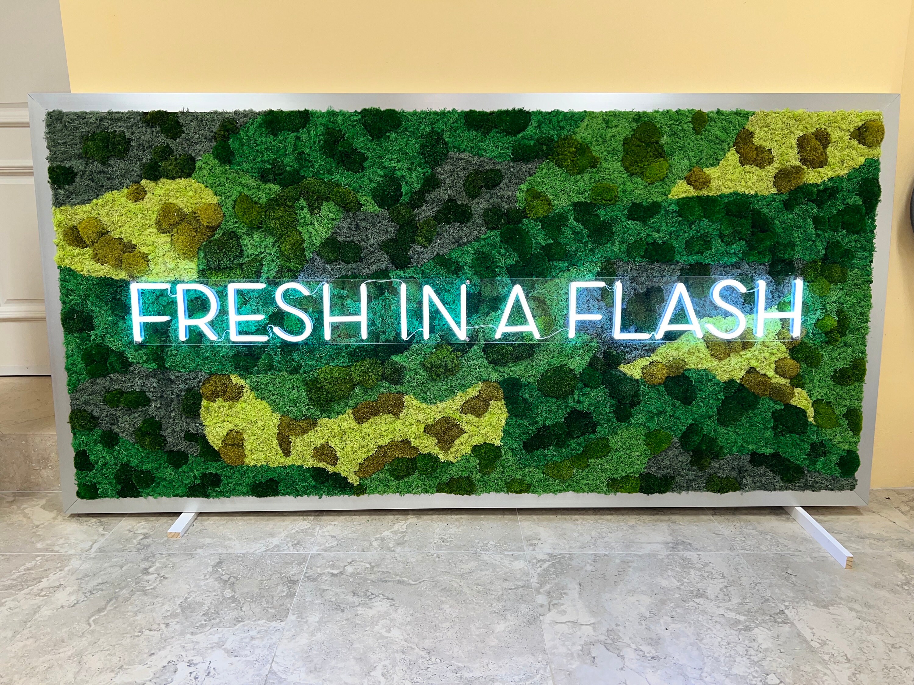 Live Preserved Moss Frame 4x8ft - CUSTOM Made-to-order - Etsy