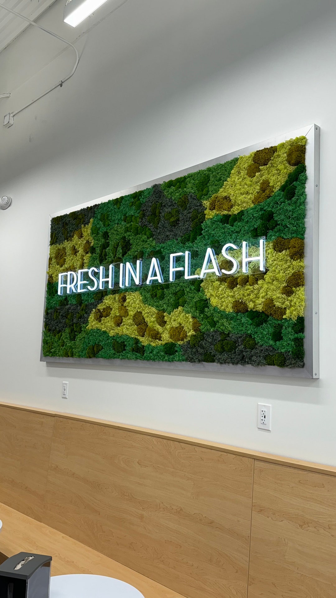 Live Preserved Moss Frame 4x8ft - CUSTOM Made-to-order - Etsy
