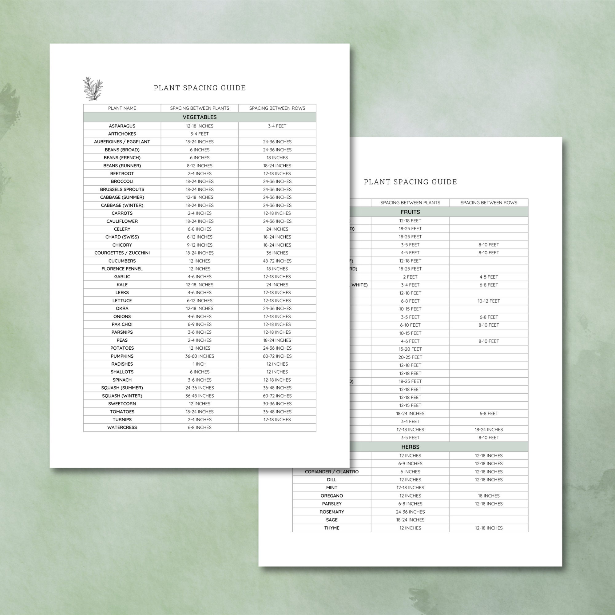 Plant Spacing Guide - Printable Vegetable, Fruit & Herb Planting ...