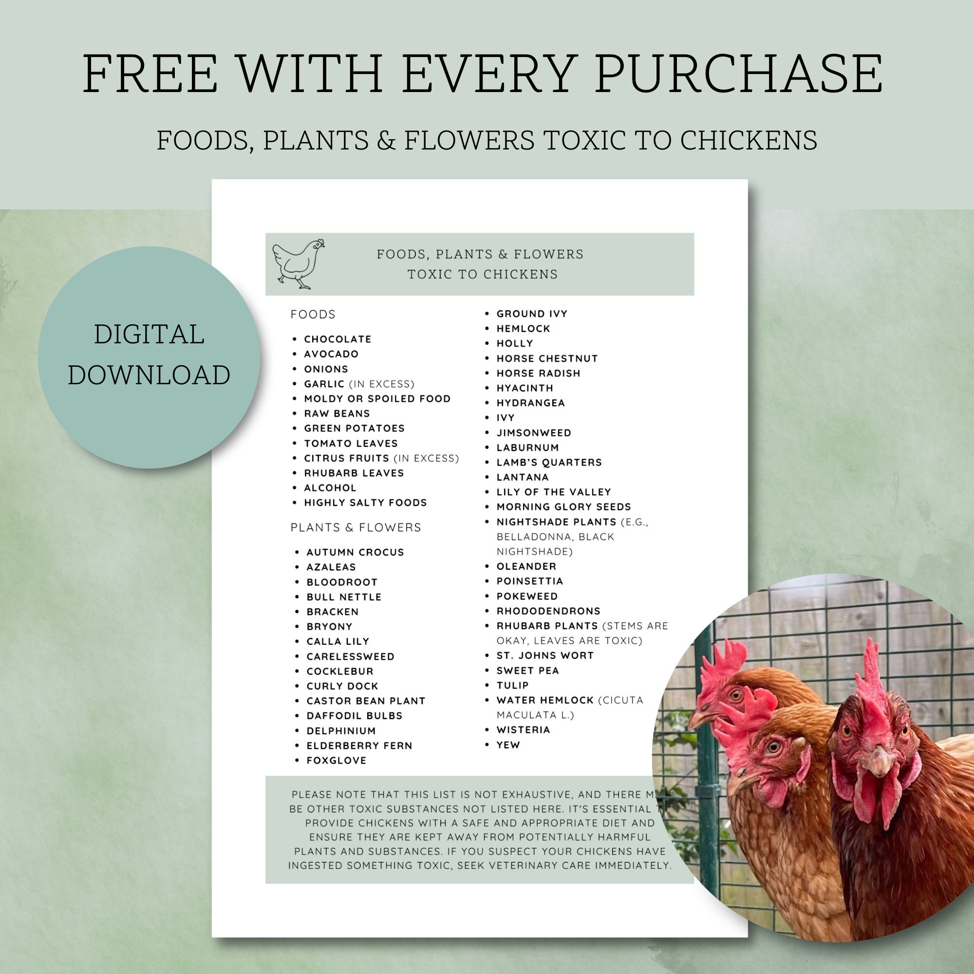 Daily Chicken Keeper Checklist | Printable Weekly Poultry Care Schedule ...