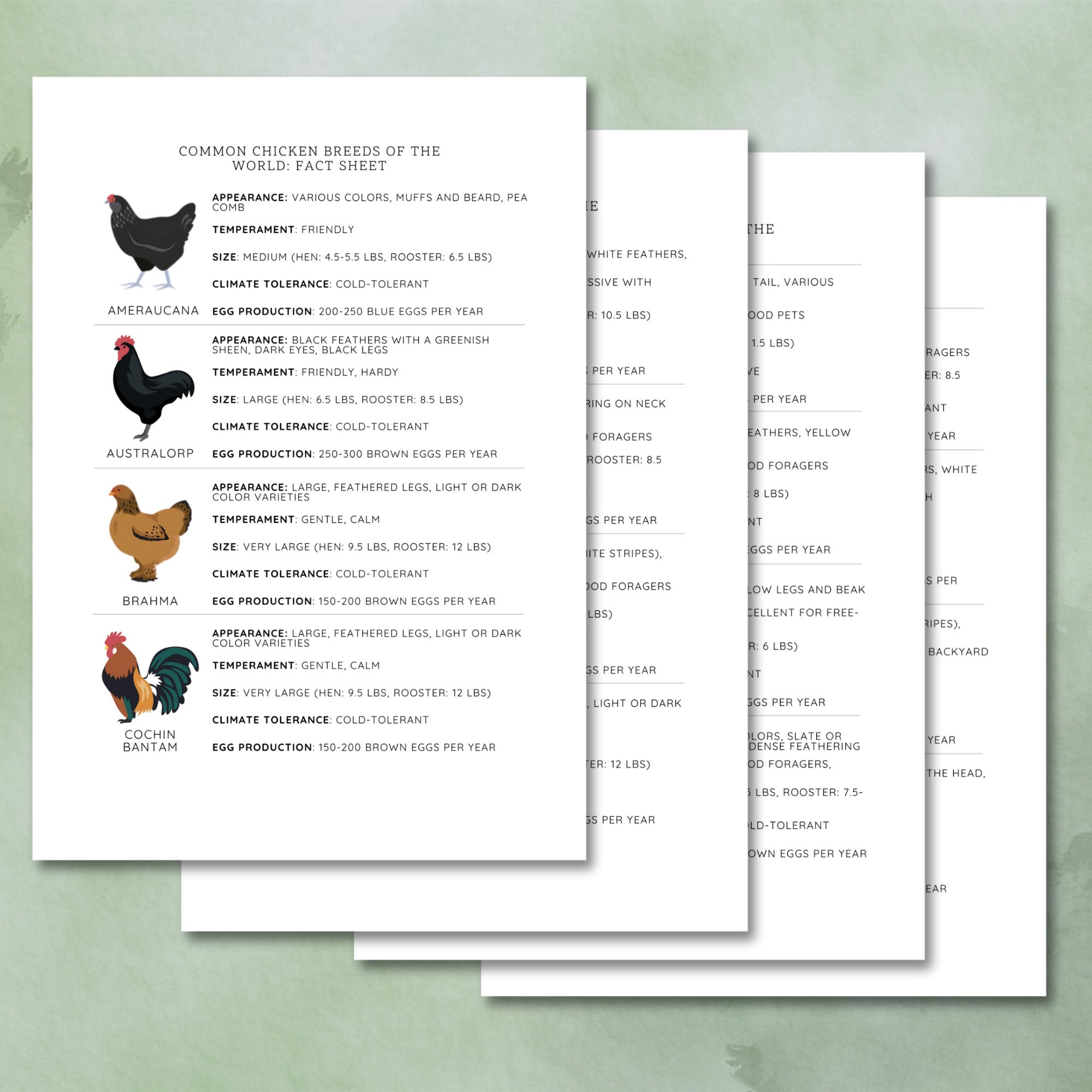 Chicken Breeds List, Fact Sheets & Checklist - Printable Homestead ...