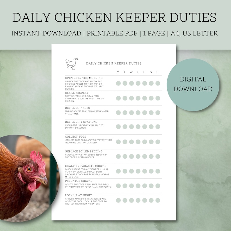 Daily Chicken Keeper Checklist | Printable Weekly Poultry Care Schedule ...