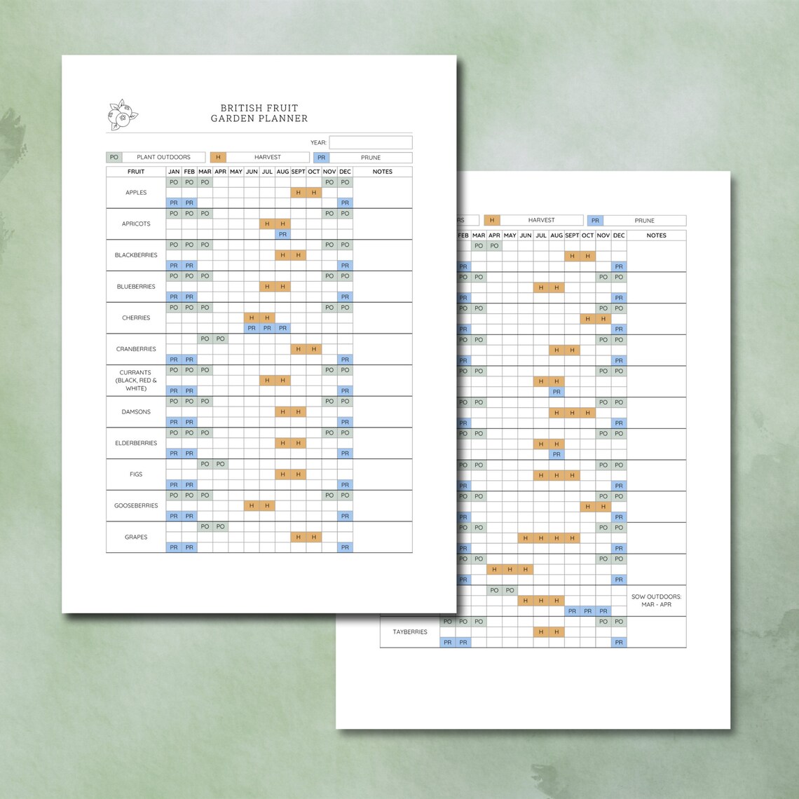 British Fruit Garden Planner - Printable Sow, Plant & Harvest Calendar ...