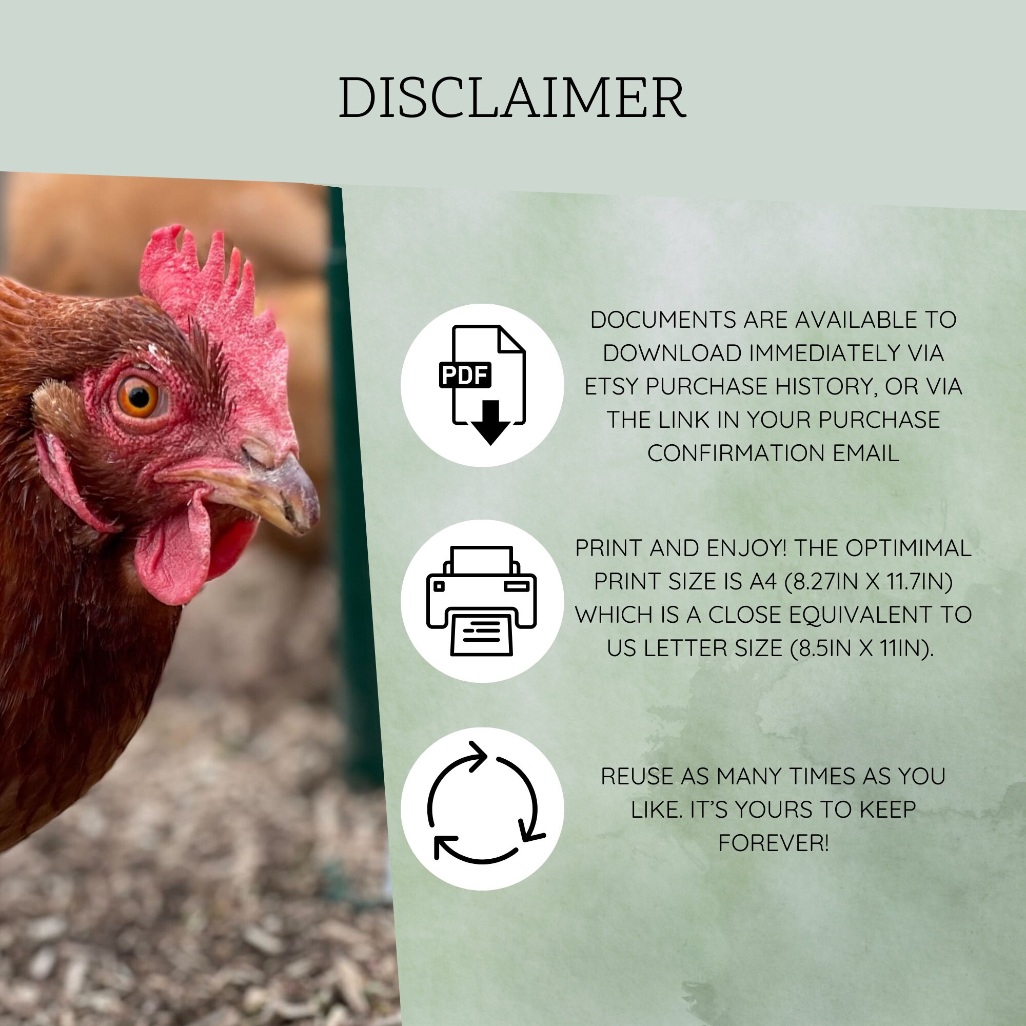 Chicken Treatment Tracker Printable Tracker to Record - Etsy