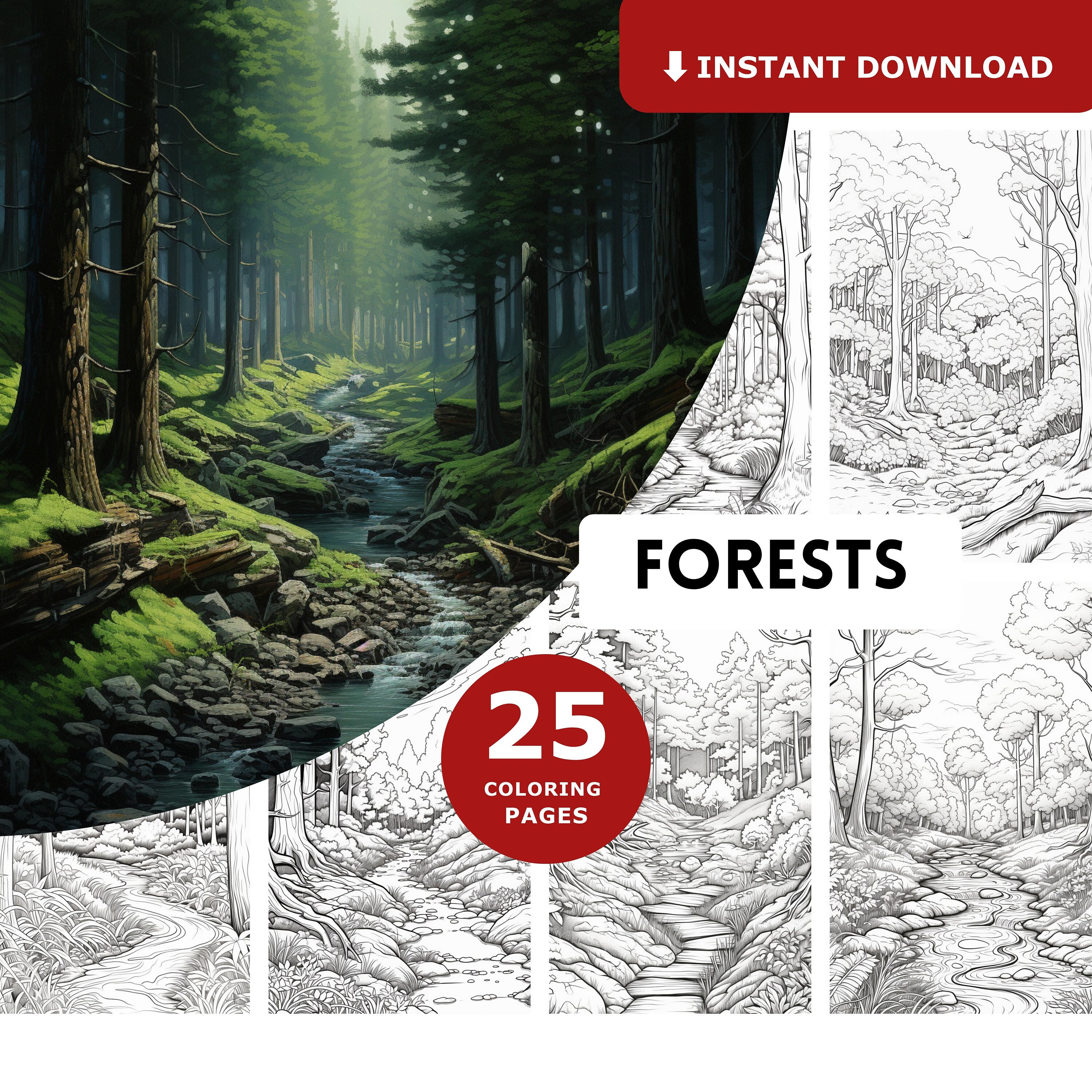 Redwood Forest Coloring Page