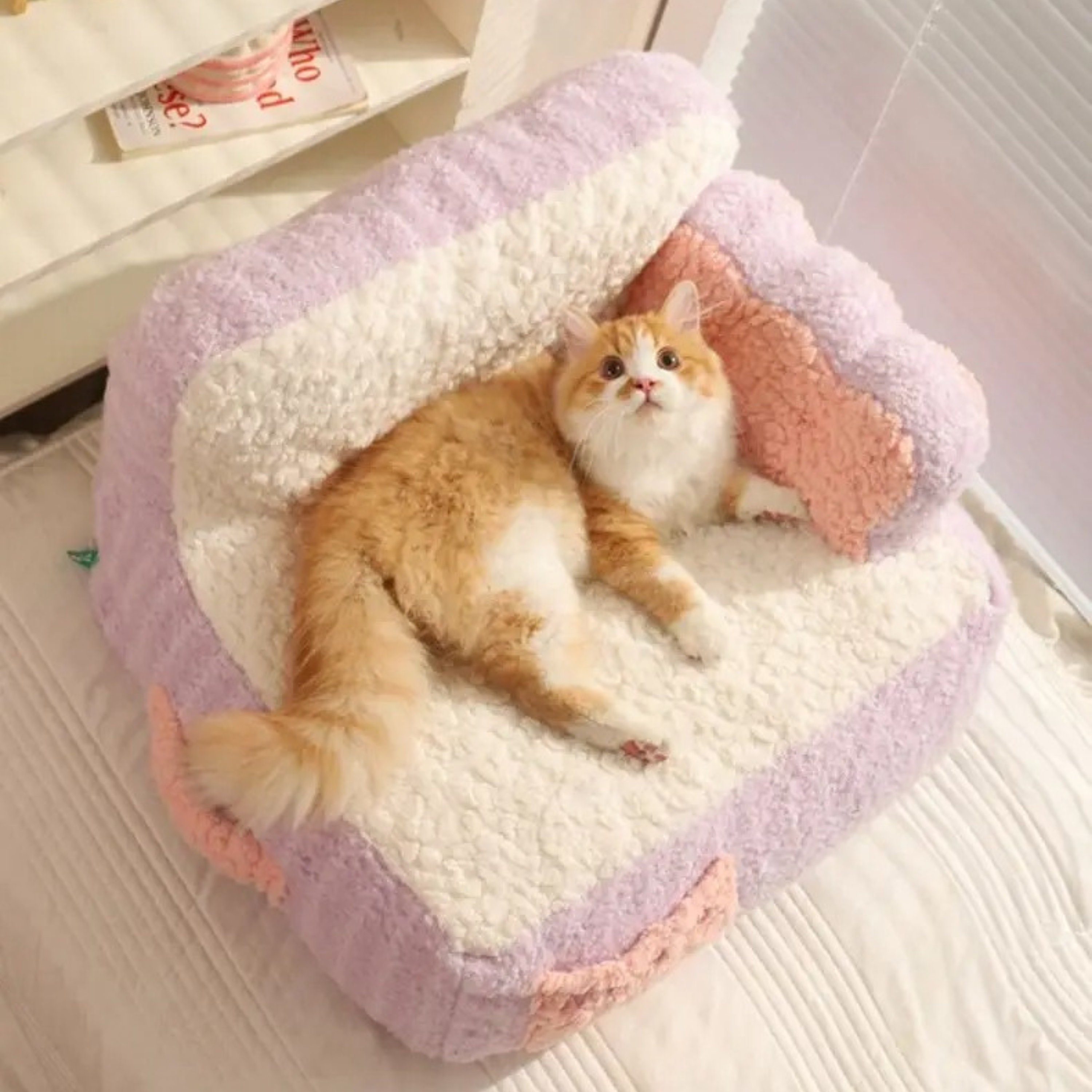 Comfy Cat Sofa With Soft Pillow, Small Dog Bed, Cat Couch Bed, Pet ...