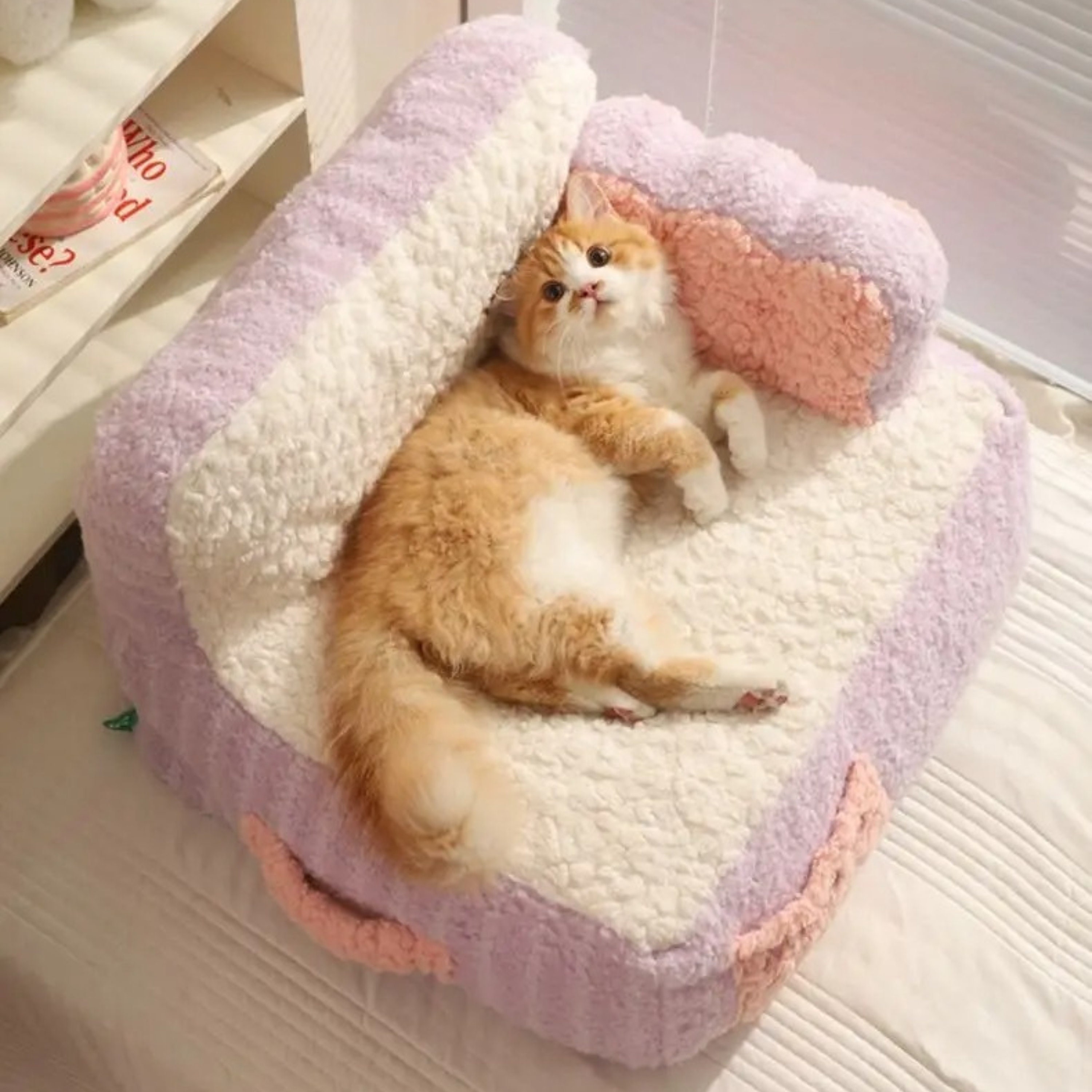Comfy Cat Sofa With Soft Pillow, Small Dog Bed, Cat Couch Bed, Pet ...