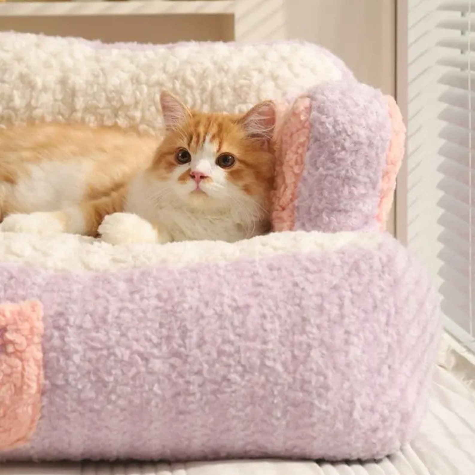 Comfy Cat Sofa With Soft Pillow, Small Dog Bed, Cat Couch Bed, Pet ...