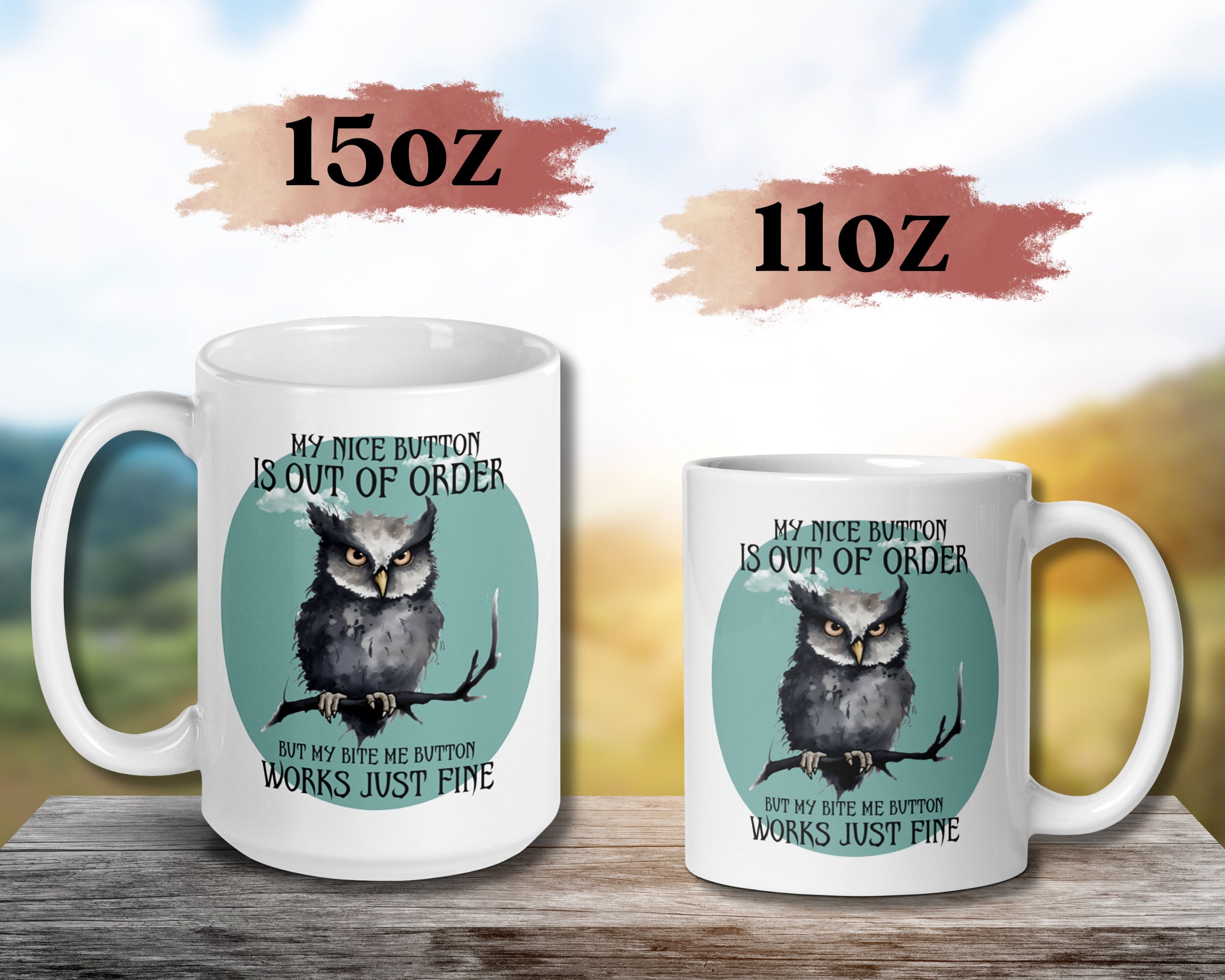 My Nice Button is Out OF Order Funny Owl Mug, Sassy Owl Mug, Owl Mug ...