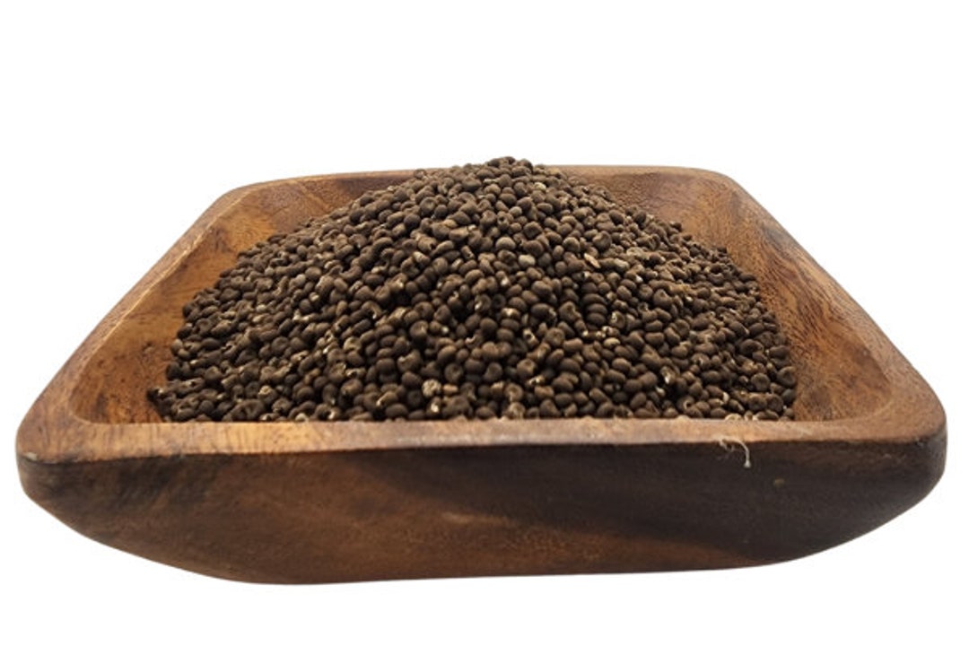 Musk Ambrette Seeds | A Grade | Wildcrafted in Egypt | 150 Grams - Etsy