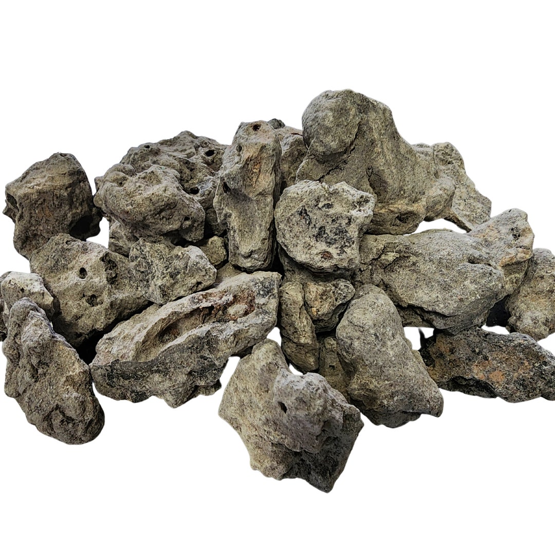 Black Copal Resin | Copal Negro | Protium Paniculatum | 100 Grams ...
