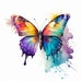 Colorful Butterfly Clipart | 300dpi | PNG Graphics | Instant Download ...