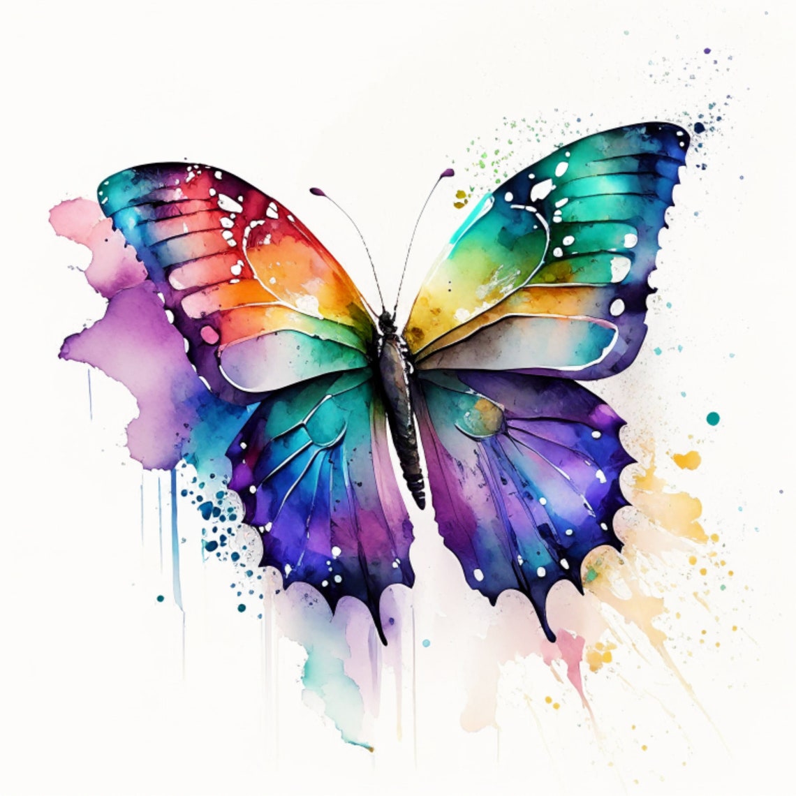 Colorful Butterfly Clipart | 300dpi | PNG Graphics | Instant Download ...
