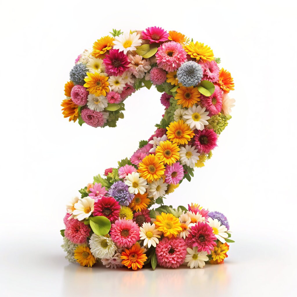 3d Numbers Made of Flowers - 300 DPI - 10 Png Files - Etsy