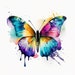 Colorful Butterfly Clipart | 300dpi | PNG Graphics | Instant Download ...