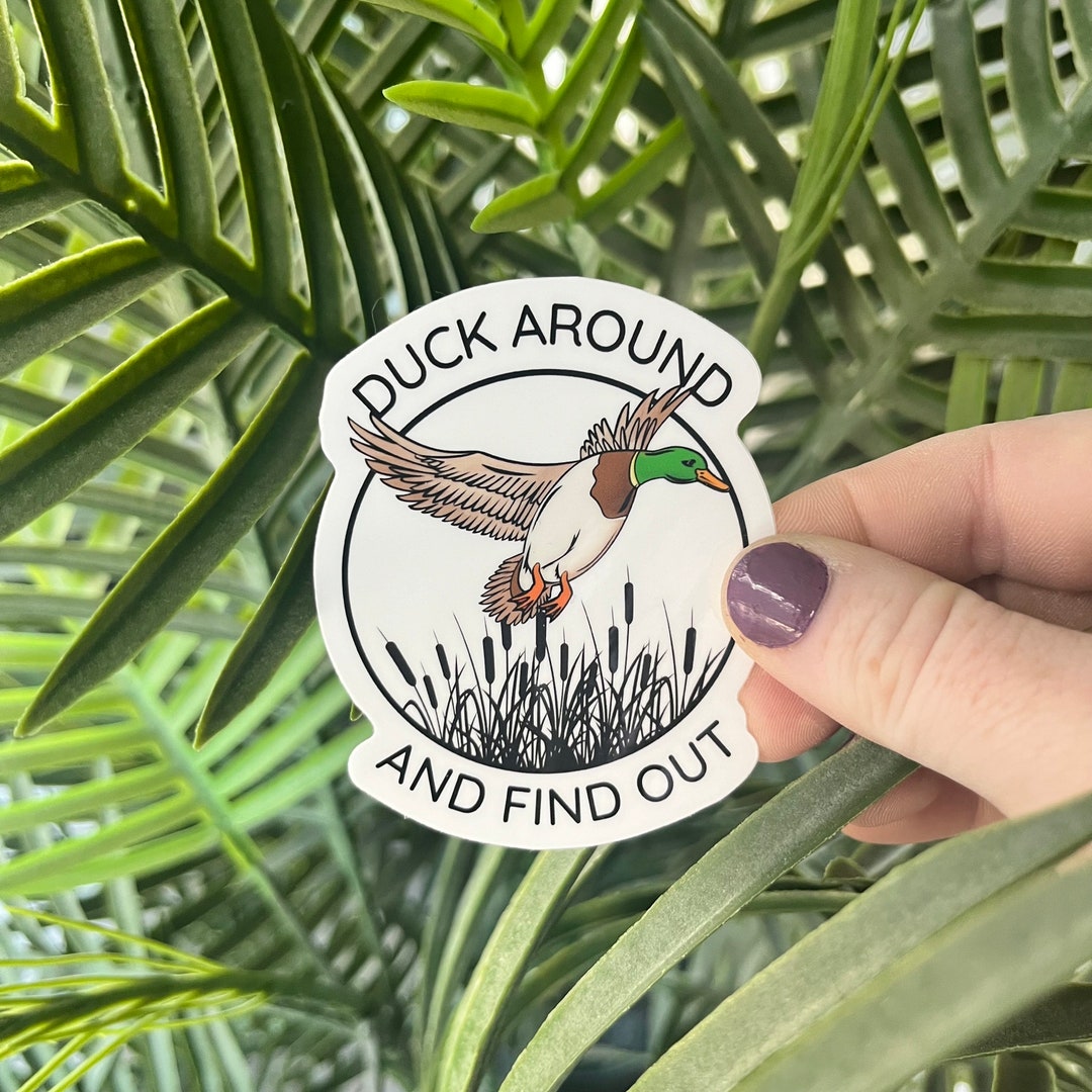 Funny Duck Sticker: Duck Around & Find Out, Waterproof Vinyl - Etsy