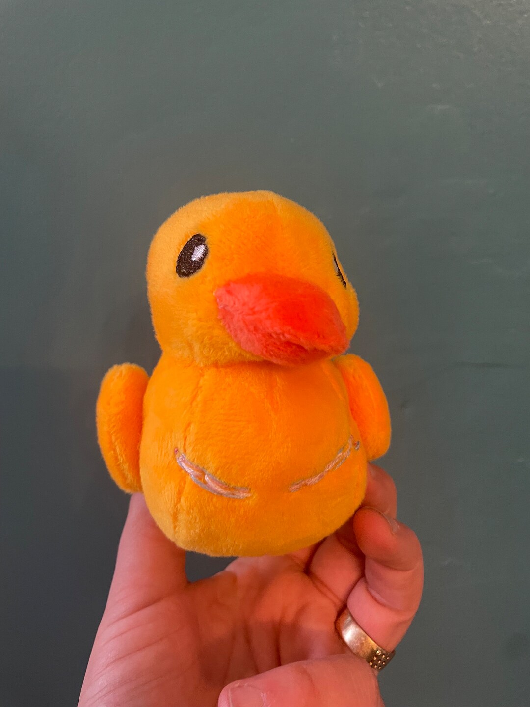 Duck With Top Surgery Scars in Trans Flag Colors, Non-binary Flag ...