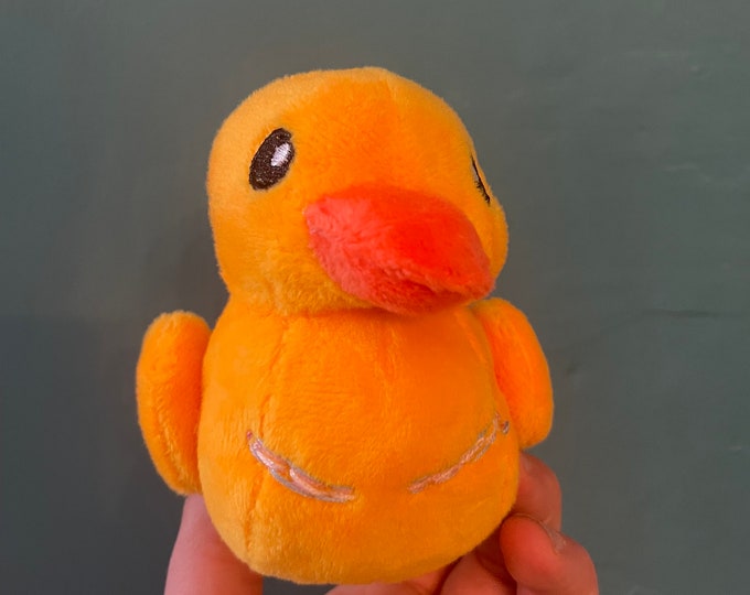 Duck With Top Surgery Scars in Trans Flag Colors, Non-binary Flag ...