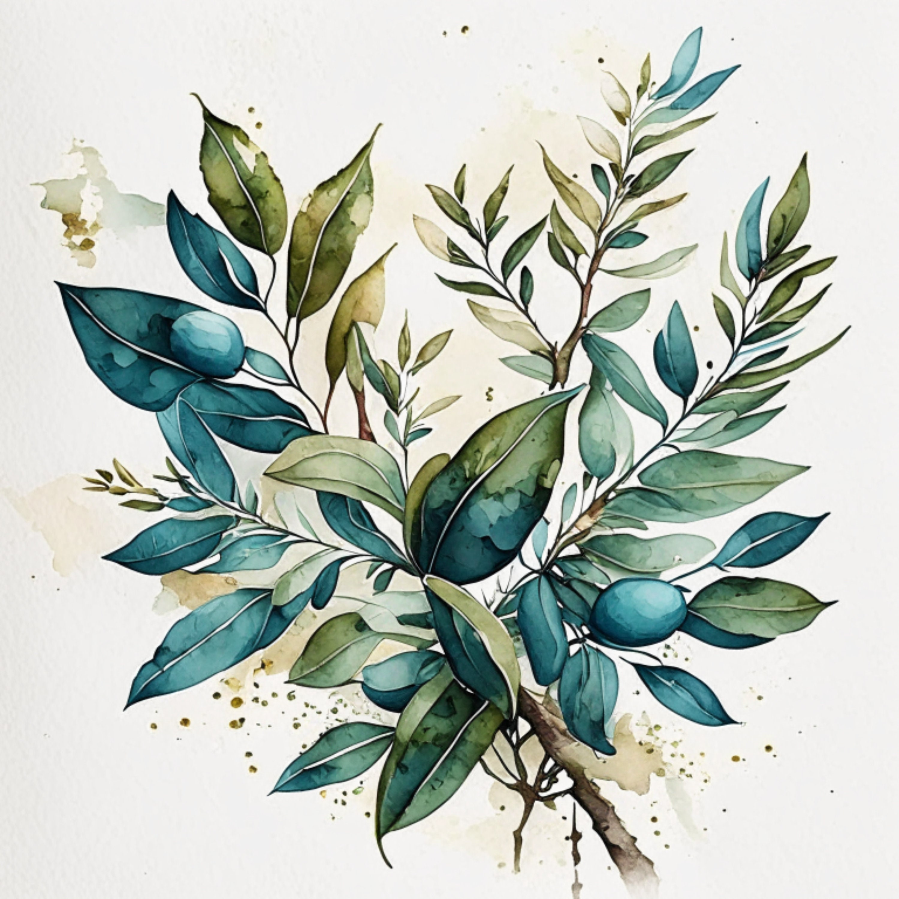 Cute Olive Branches Clipart 300dpi PNG Graphics Instant Download for ...