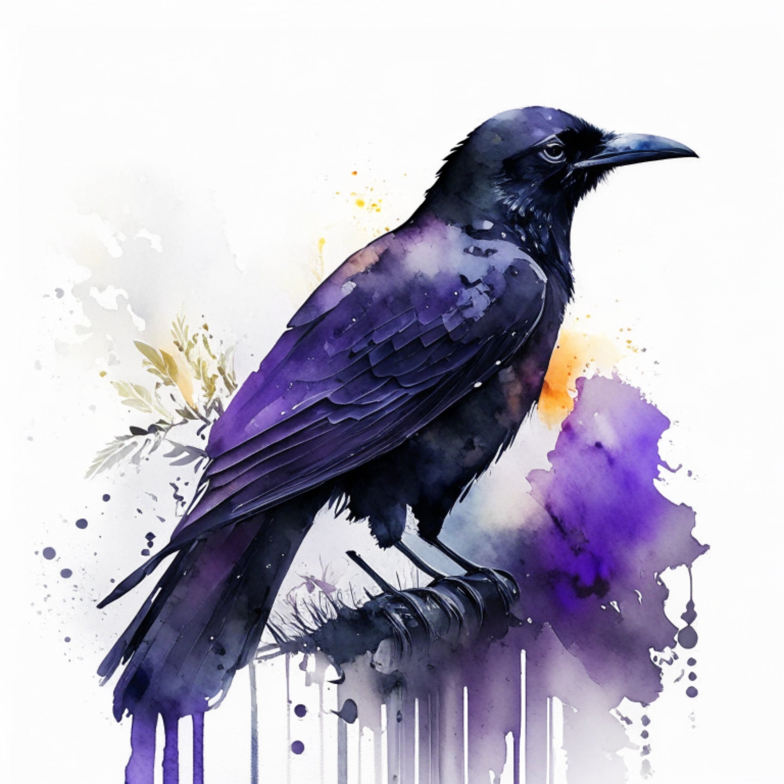 Crow Clipart | 300dpi High Resolution | PNG Graphics | Instant Download ...