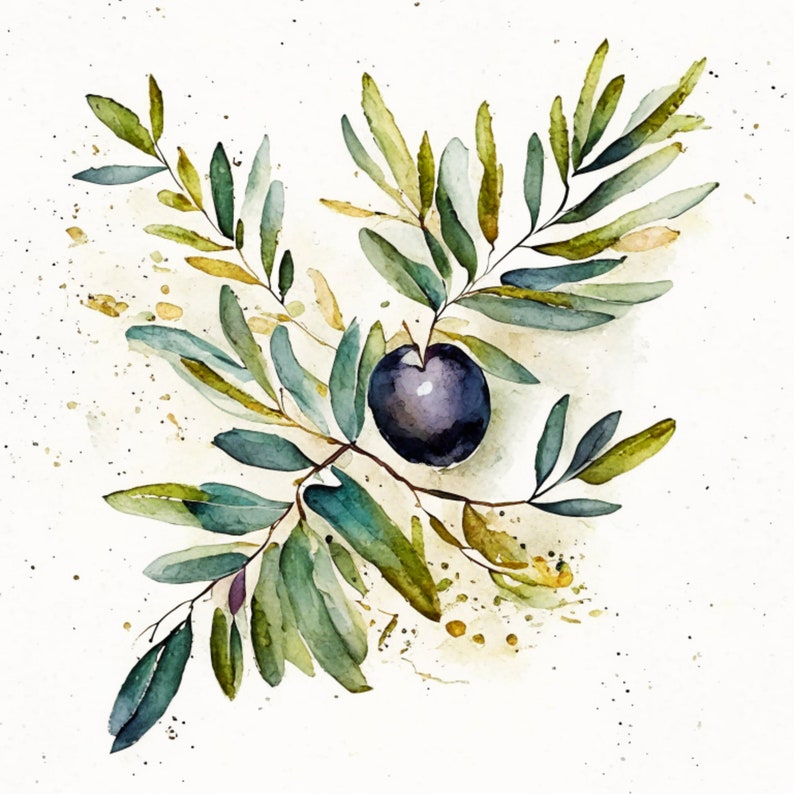 Cute Olive Branches Clipart | 300dpi | PNG Graphics | Instant Download ...