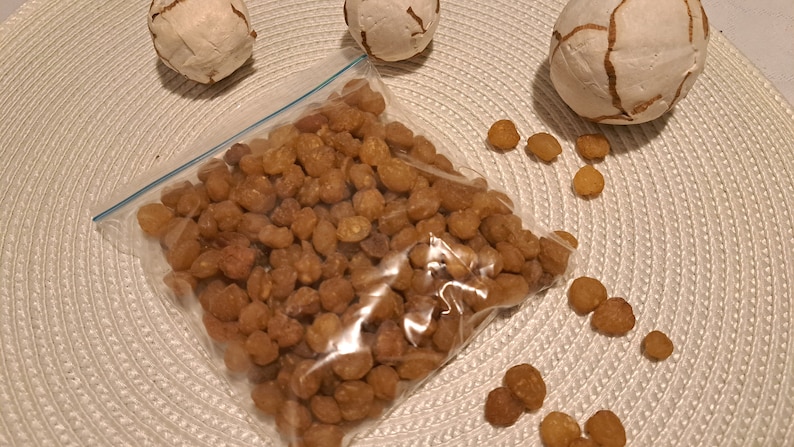 Njangsa / Akpi Seeds / Munguella / Wama / Bofeko / Okhuen - Etsy