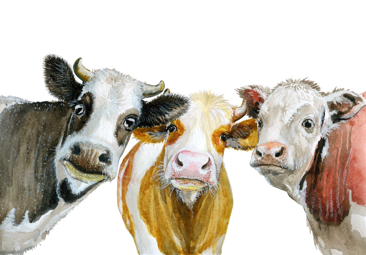 Three Wise Cows A1 Size Large Decoupage Paper - Etsy