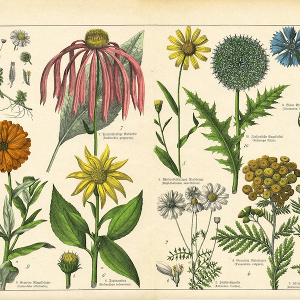 Decoupage Designs - Etsy