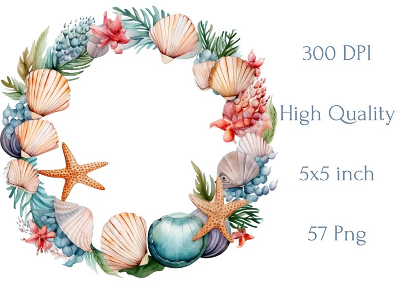 Watercolor Seashell Frame Clipart Bundle: Summer Beach Graphics (PNG ...