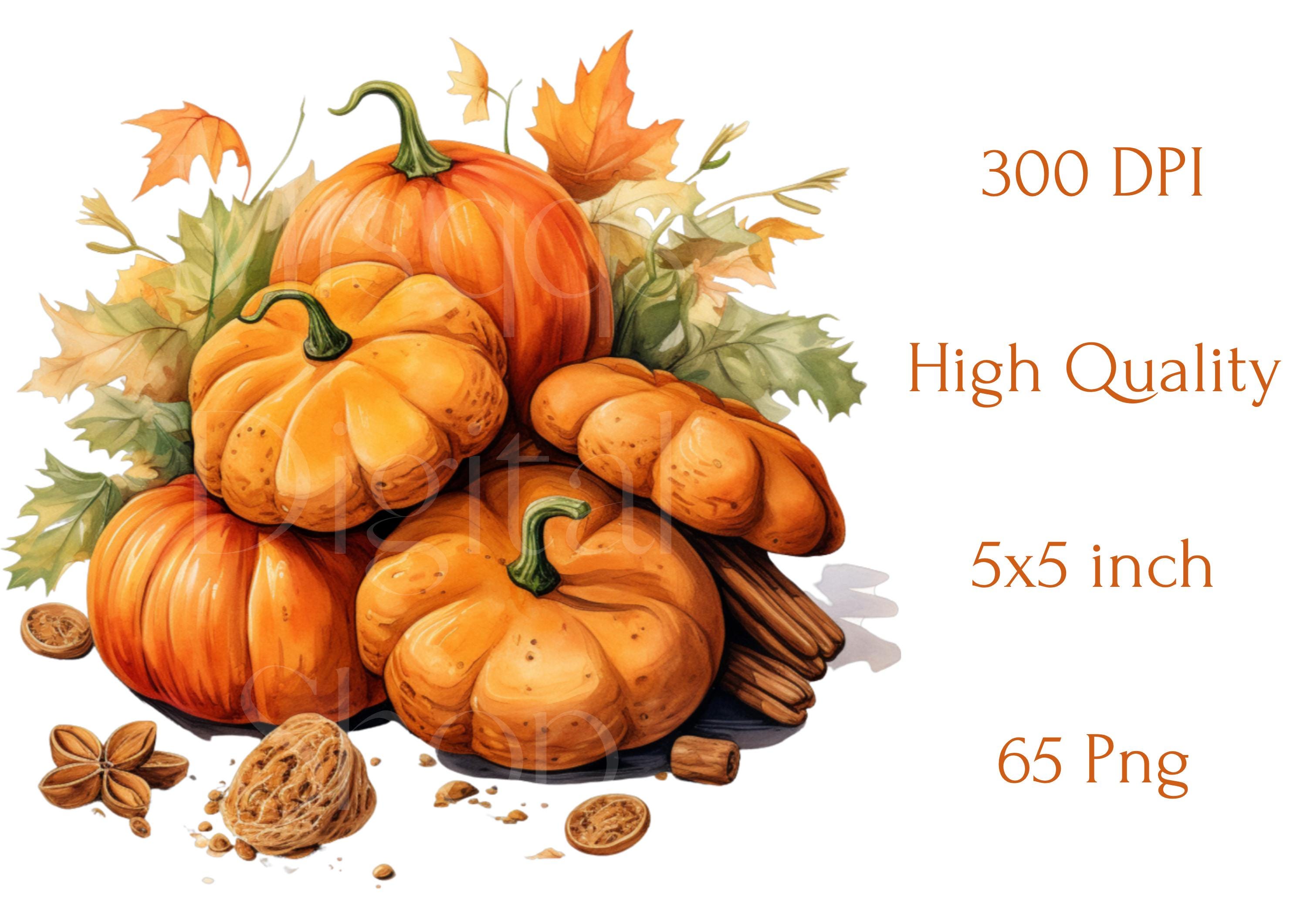 Fall Witch Chef Clipart Bundle – 65 PNG Halloween Kitchen Graphics ...