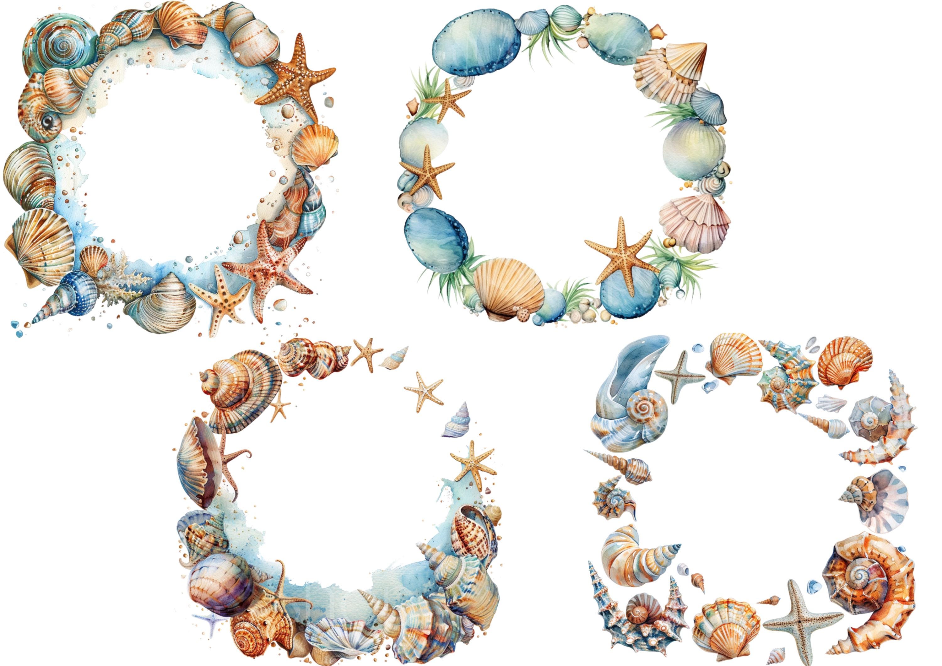 Watercolor Seashell Frame Clipart Bundle Summer Time Seashell ...