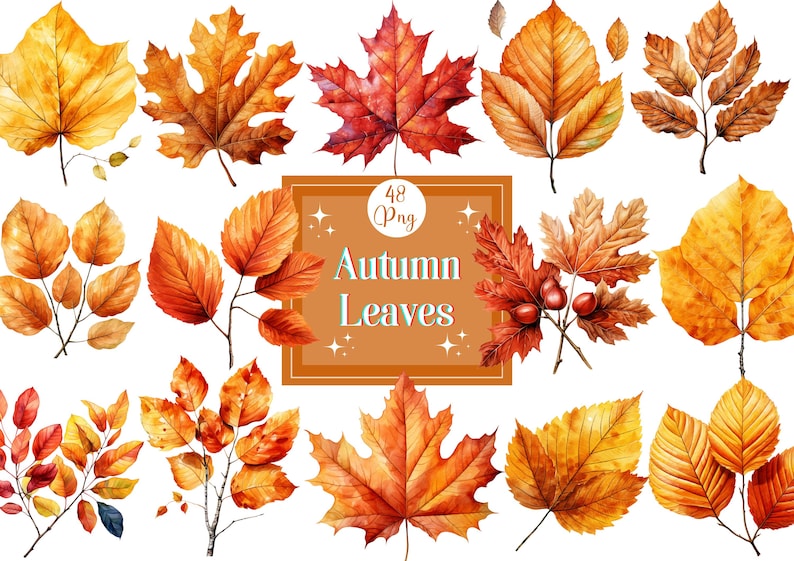 Watercolor Autumn Leaves Clipart Png Autumn Foliage Autumn Decor ...