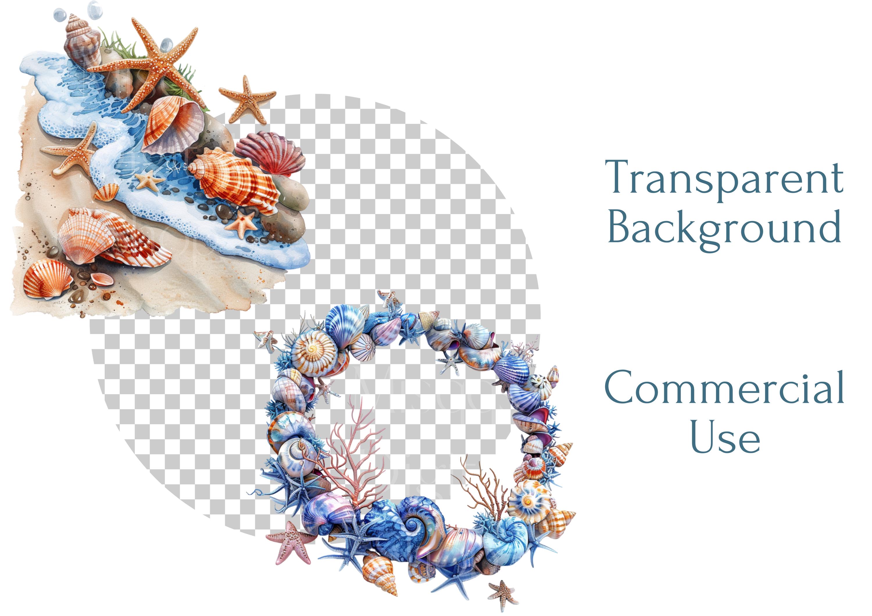 Watercolor Seashell Clipart Bundle: Nautical Summer Graphics (PNG) - Etsy