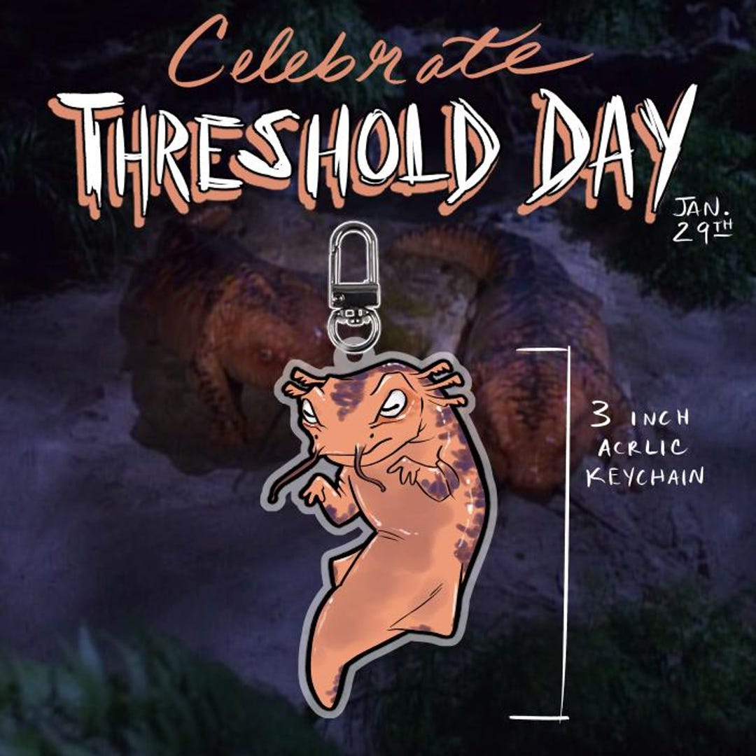 Threshold Day - Star Trek Voyager 3" Keychain - Etsy