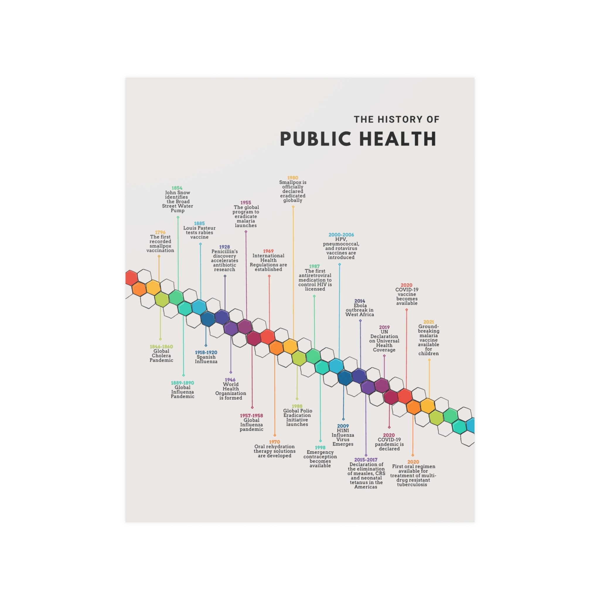 The History of Public Health - Satin Poster - Etsy