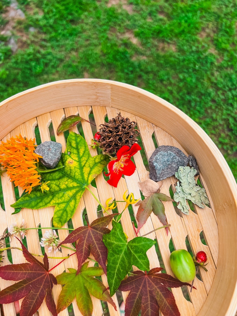 Nature Scavenger Hunt, Outdoor Games for Kids, Charcuterie Board ...