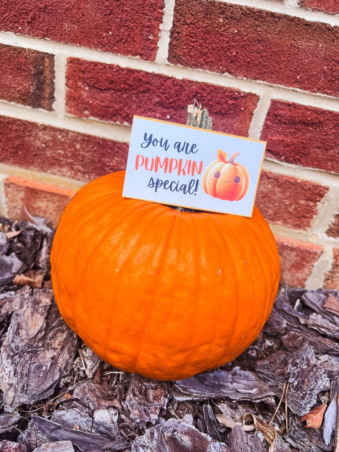 Fall Puns, Thanksgiving Cards to Spread Joy, Friendsgiving Ideas ...