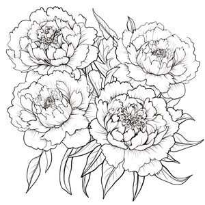 80 Floral Coloring Pages 8x10 PDF - Violets - Peonies - Roses - Tulips ...